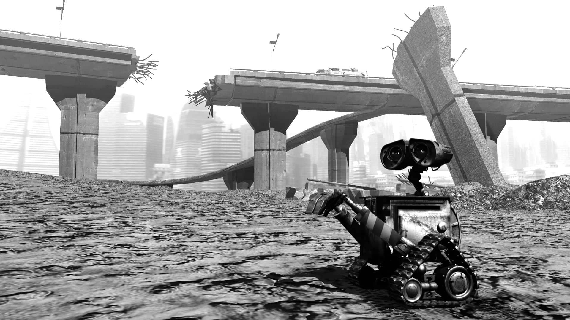 Jeff Blyth ~ Wild Filmmaker